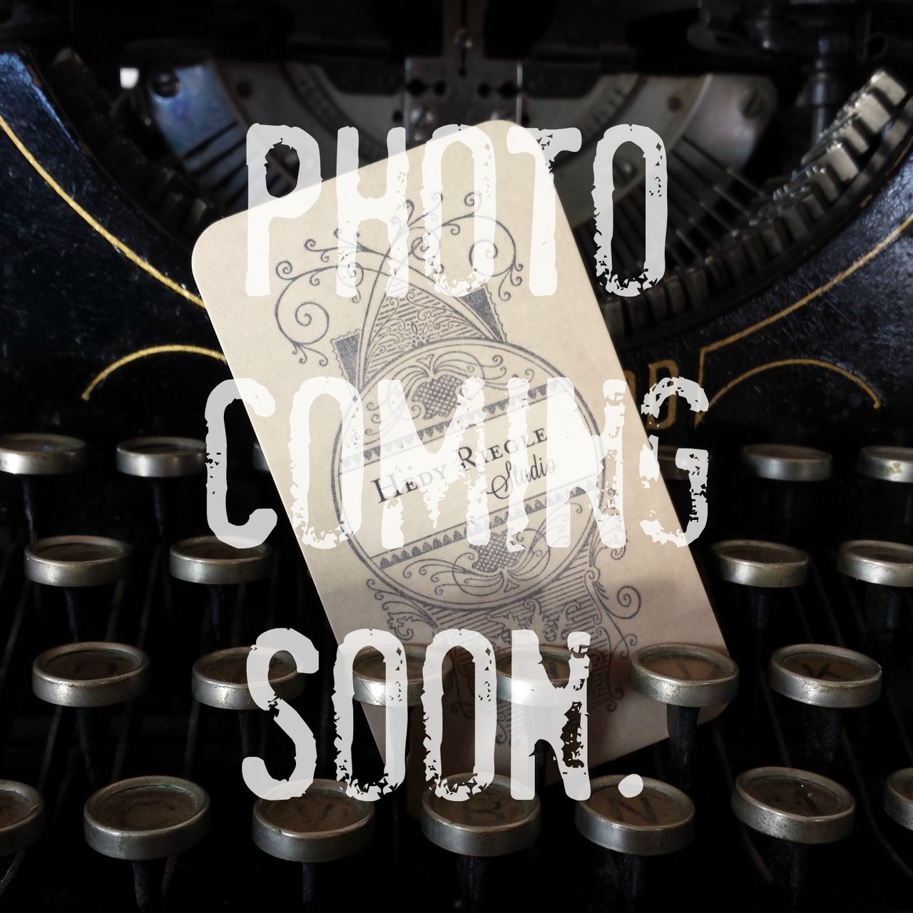 Hedy Riegle Studio Ltd.