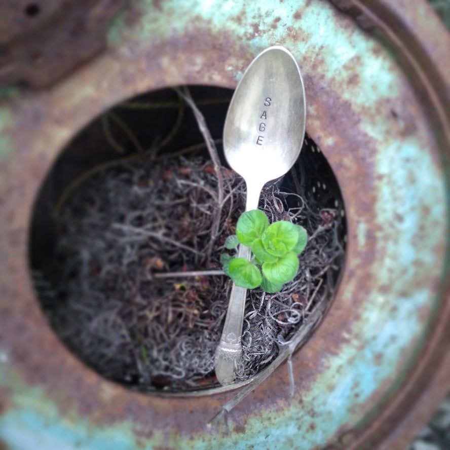 Hedy Riegle Studio Ltd.